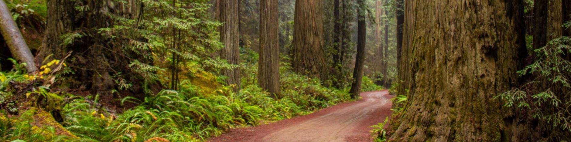 Home [csrc.memberclicks.net]